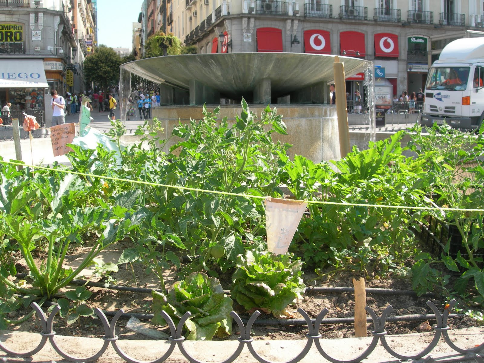 Polystyrene Garden Junkie: Political vegetable gardening in Madrid