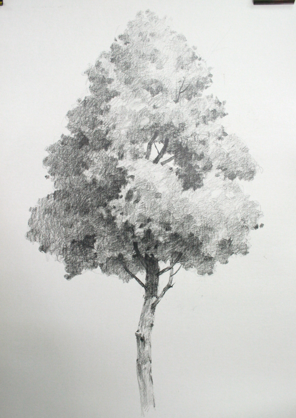 NAMIL ART: [drawing step by step] Drawing a Hardwood Tree - Basic ...