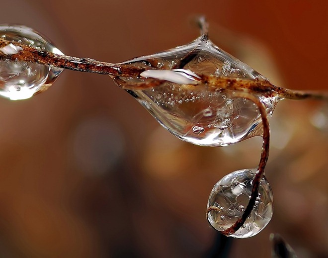 DUE DROPS PHOTOS - world pics