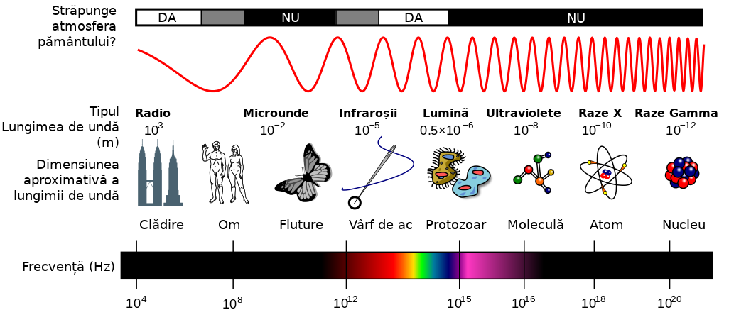 La colţ de... internet: Despre 5G și pericolele pe care le reprezintă
