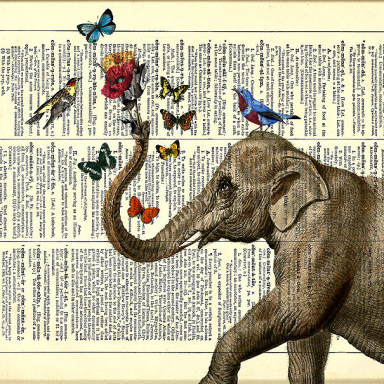 ZM925: Inspirational Artist: Danielle Richey