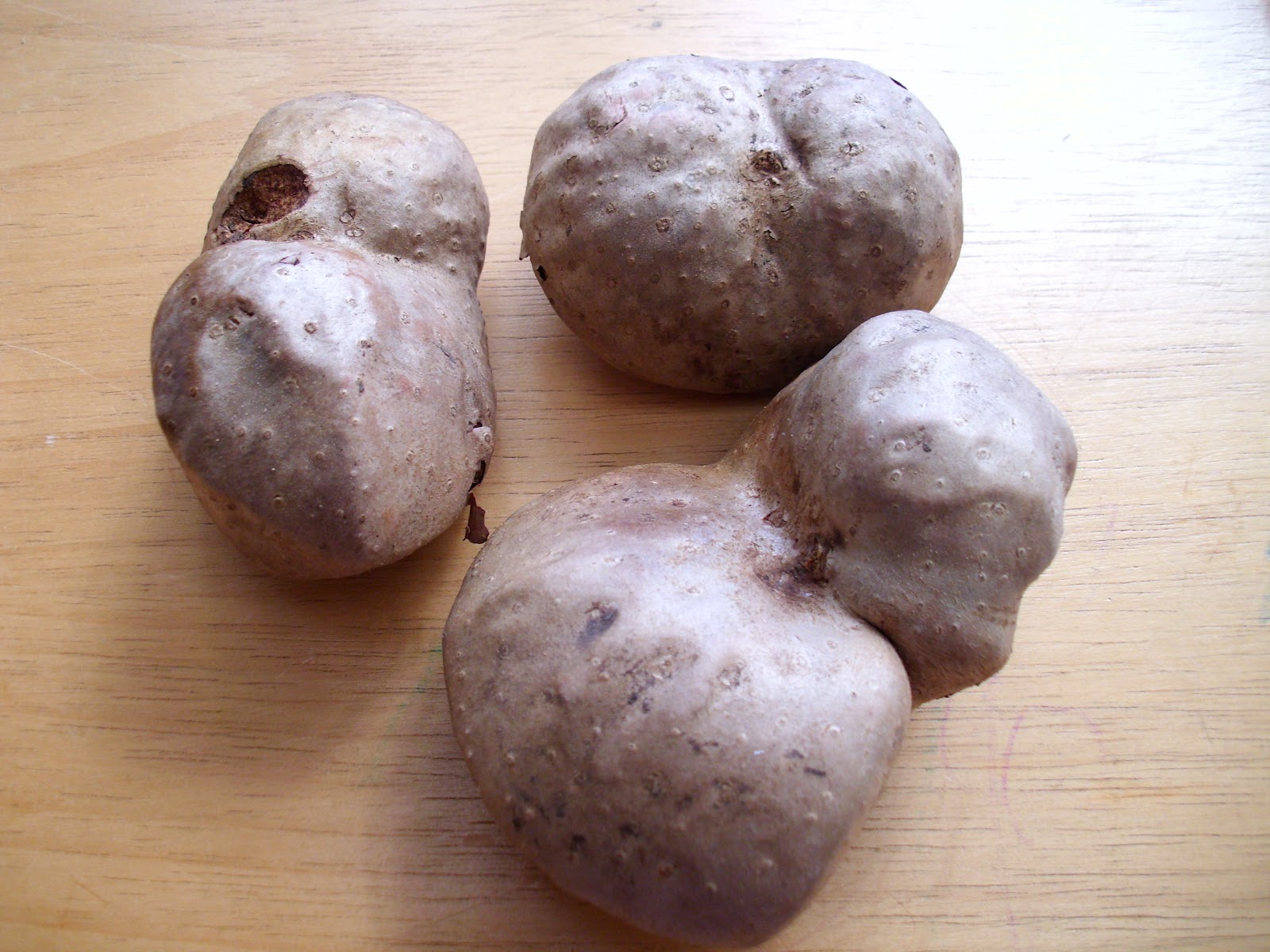 Gramado Mais Saudável: Batata do ar ou cará do ar