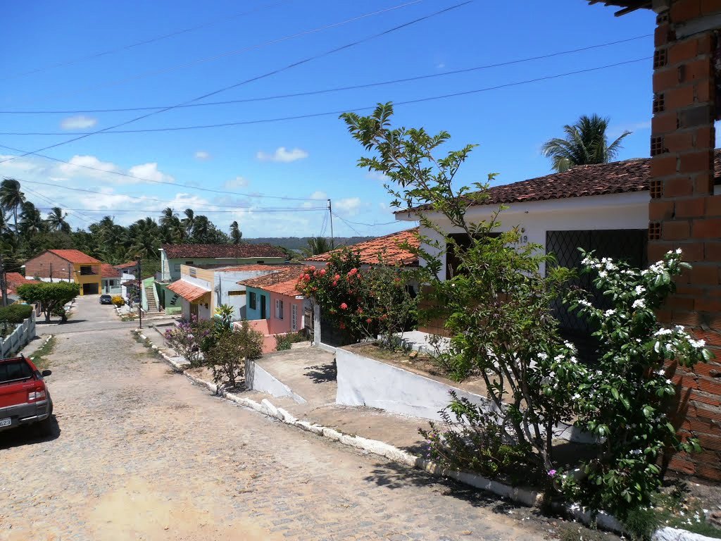 VIAGEM, TURISMO E AVENTURAS POR LUGARES INCRÍVEIS : COQUEIRO SECO ...