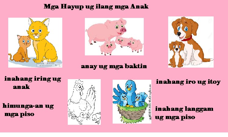 Cebuano for Beginners: Animals and their Young (Mga hayop ug ilang mga ...
