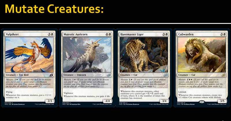Magic the Gathering Adventures: Ikoria Mutate Cards