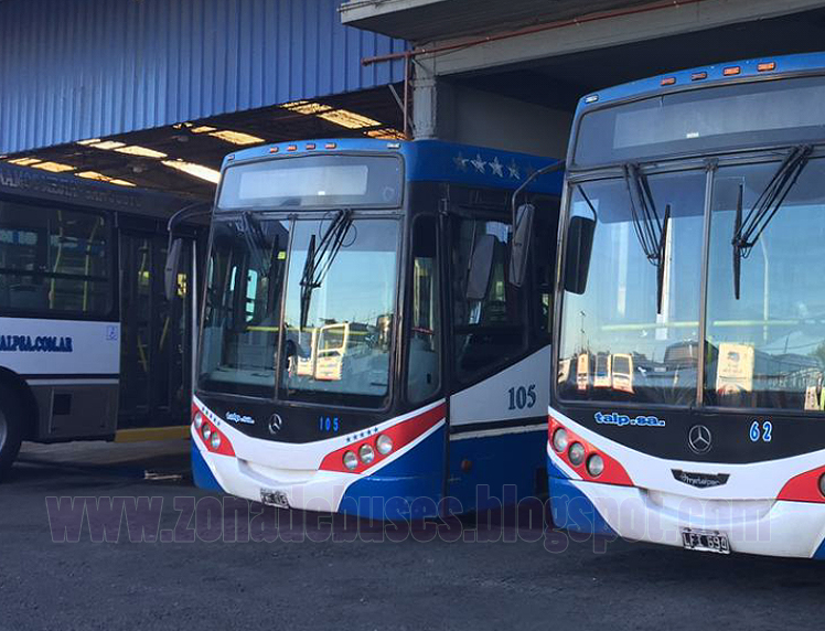 Colectibus - Zona de Buses: LINEA 338
