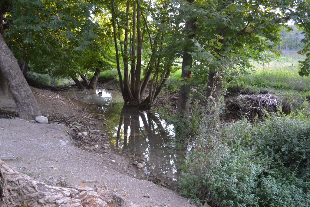 ΚΑΤΕΡΙΝΑ Μ. ΜΑΤΣΟΥ