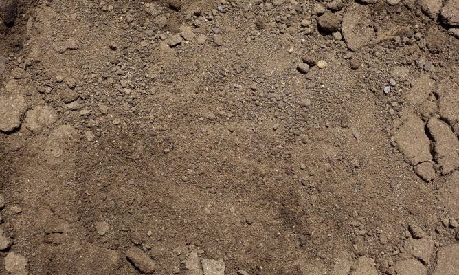 Todo Biología: TEXTURAS DEL SUELO