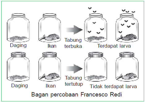 Teori Asal Usul Kehidupan (Teori Abiogenesis, Biogenesis, Kosmozoan ...