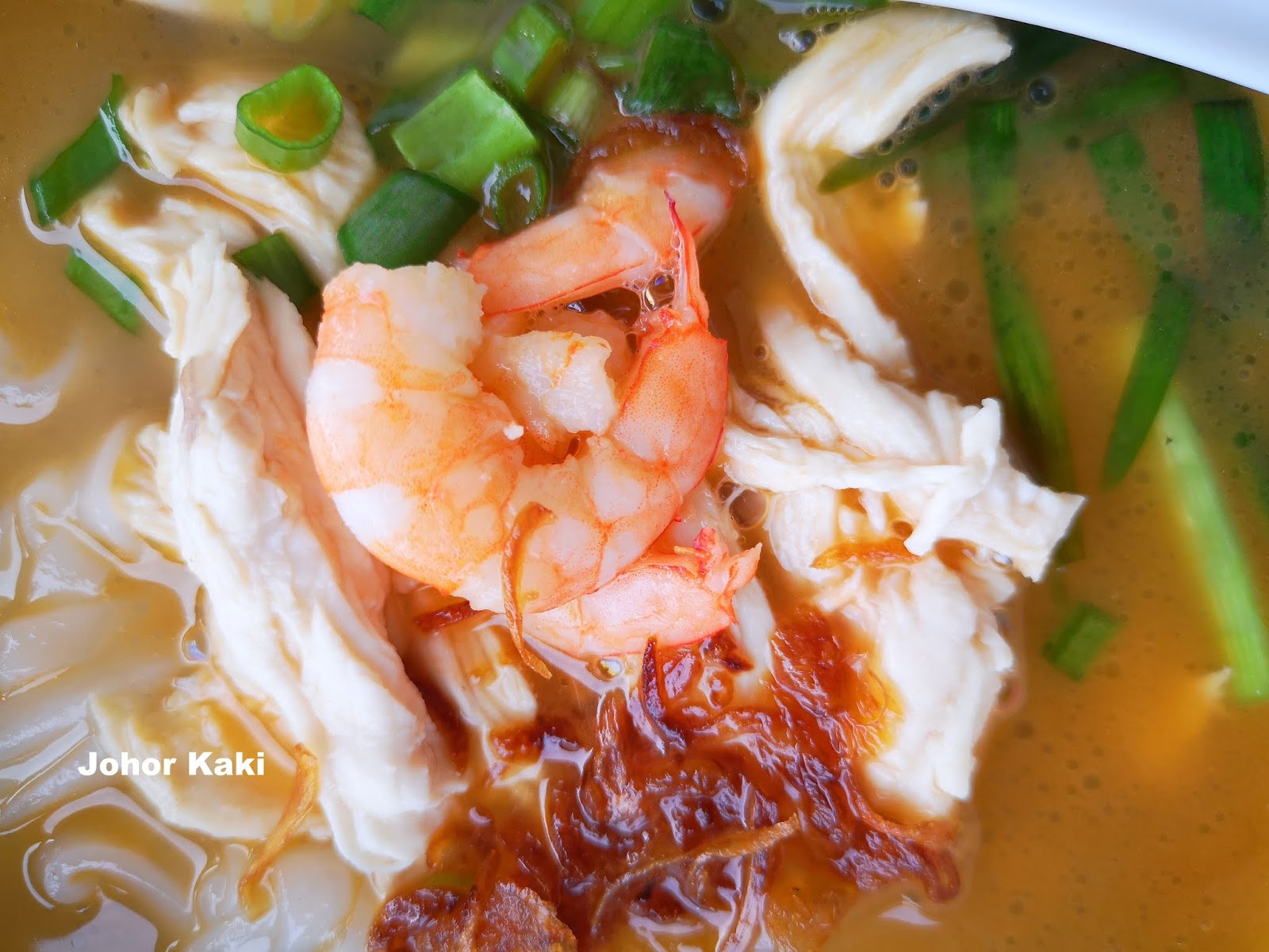 Moon De Moon Ipoh Shredded Chicken Kai Si Hor Fun 怡保鸡丝河粉 |Tony Johor ...