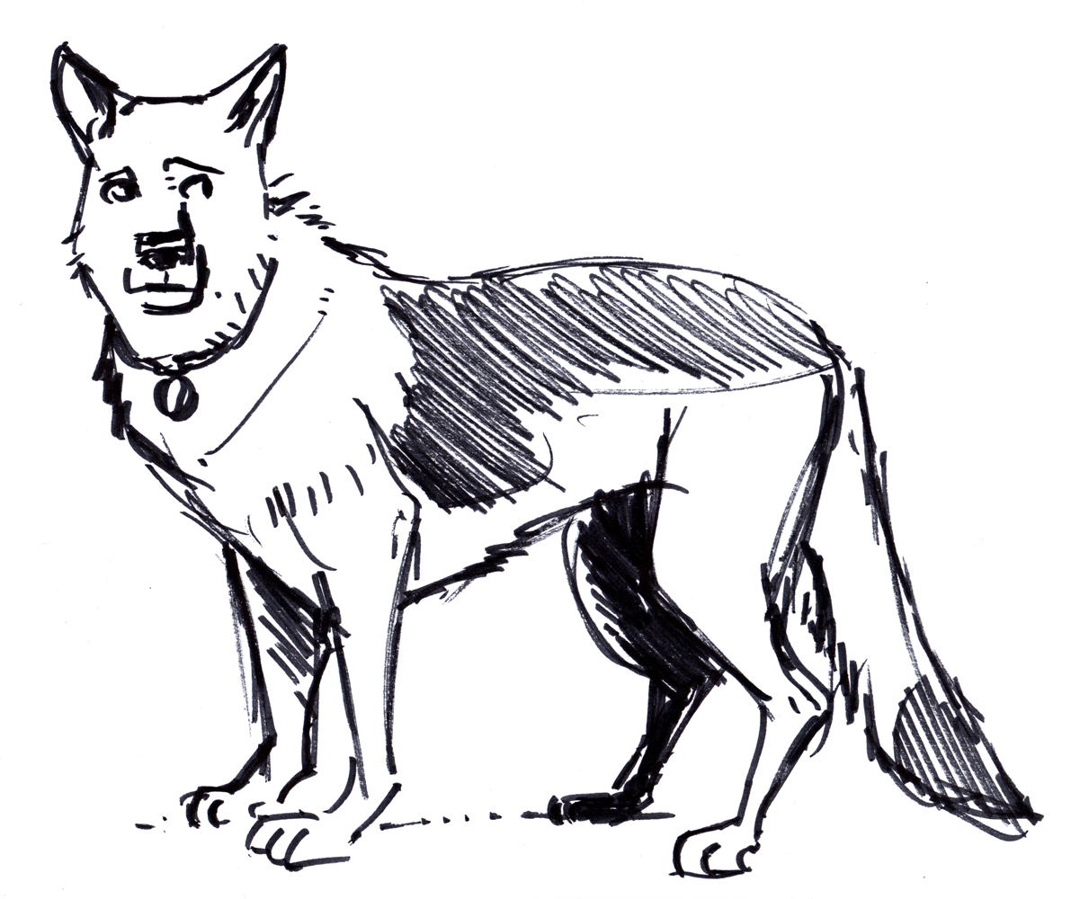 aapstra (a.k.a. joscha's blog): The Shepherd