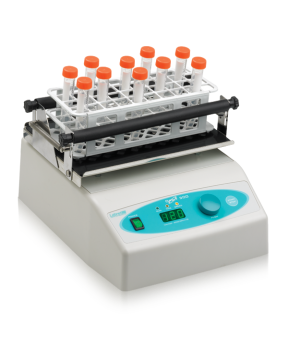 LAPORAN PRAKTIKUM MIKROBIOLOGI : September 2019