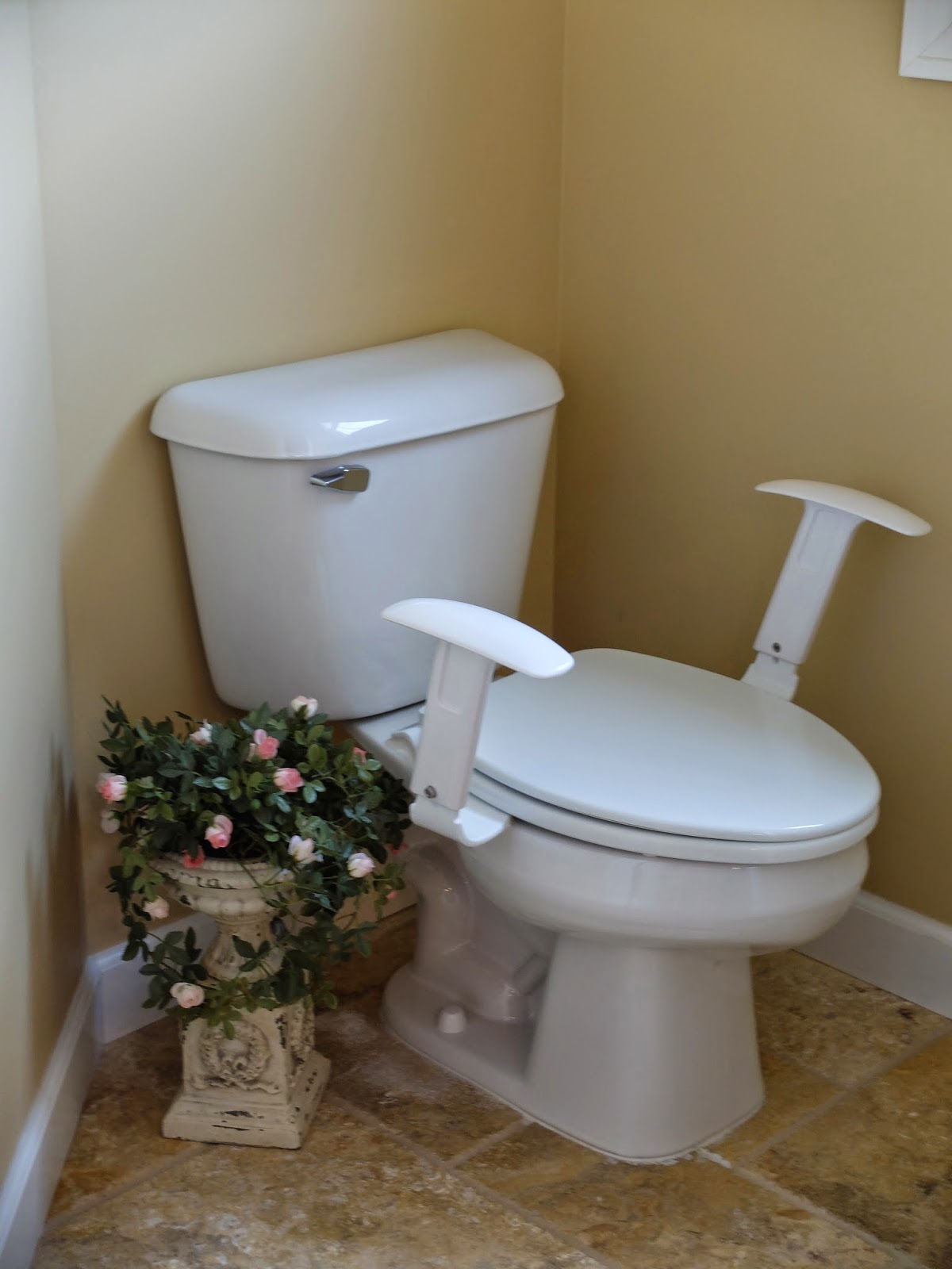 A Toilet with Armrests? You have to see it to believe it… – Home ...