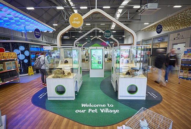 Cat Chit Chat: Pets at Home business overhaul is bearing fruit