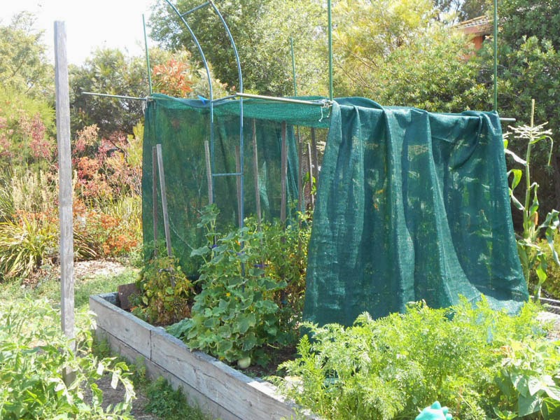 Chloe's Gardens: Shade and Bird Netting Structures