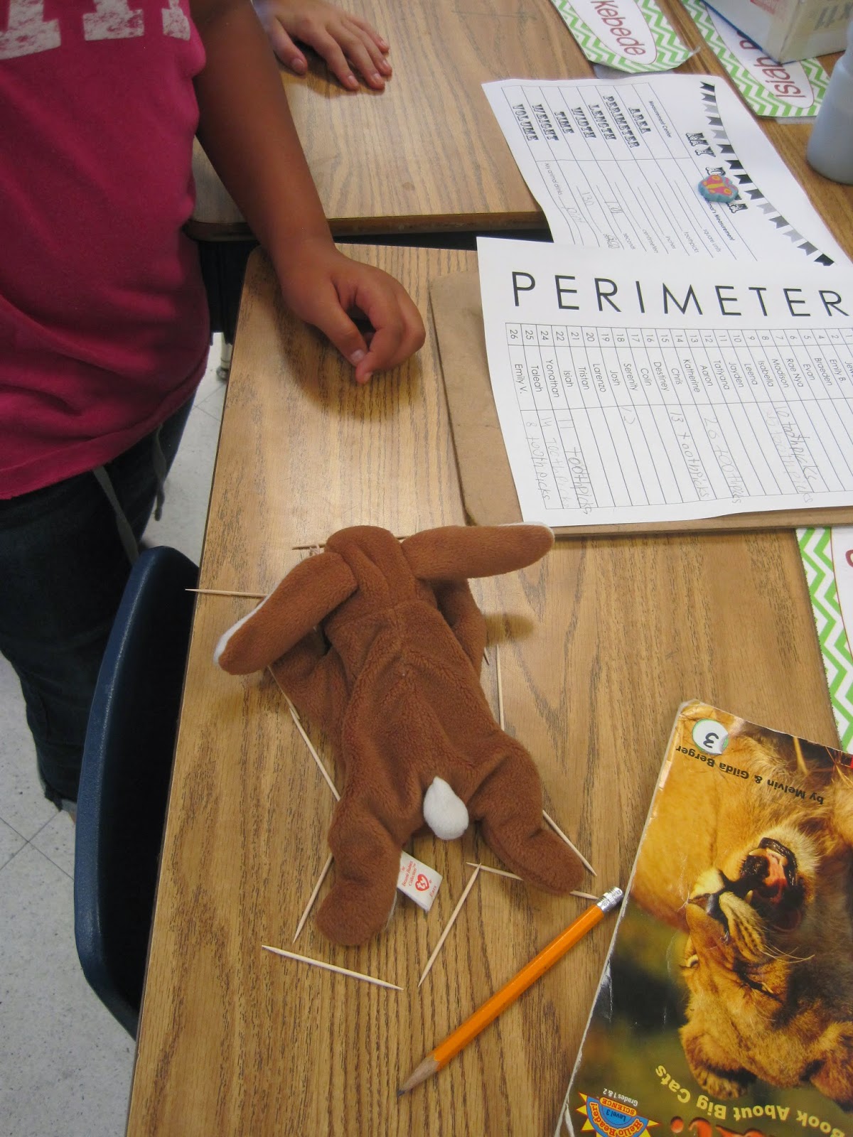 Flamingo Fabulous: Measurement Fair!