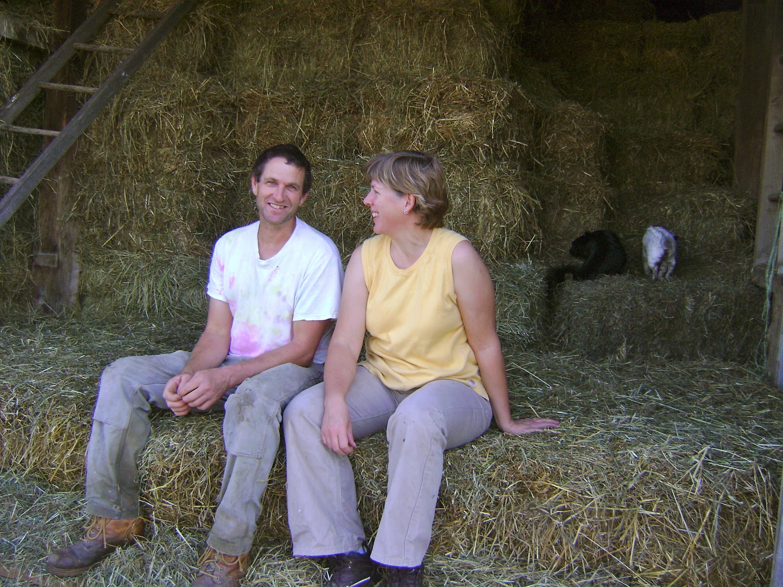 Wayward Goose Farm: About