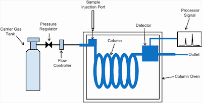 Il gascromatografo: STEP #03 - Il glossario