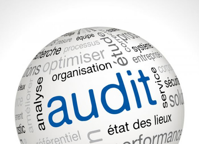 AUDIT DES RESSOURCES HUMAINES ET PERFORMANCE DES ENTREPRISES ...