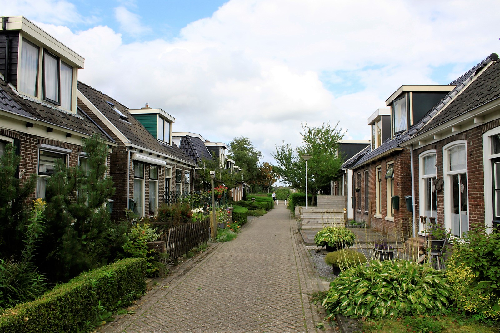 Dorpen en Steden van Nederland: Stiens (Friesland)