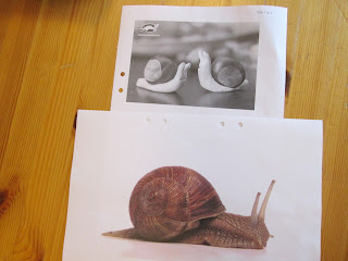 Sandtagets förskola: Sniglar