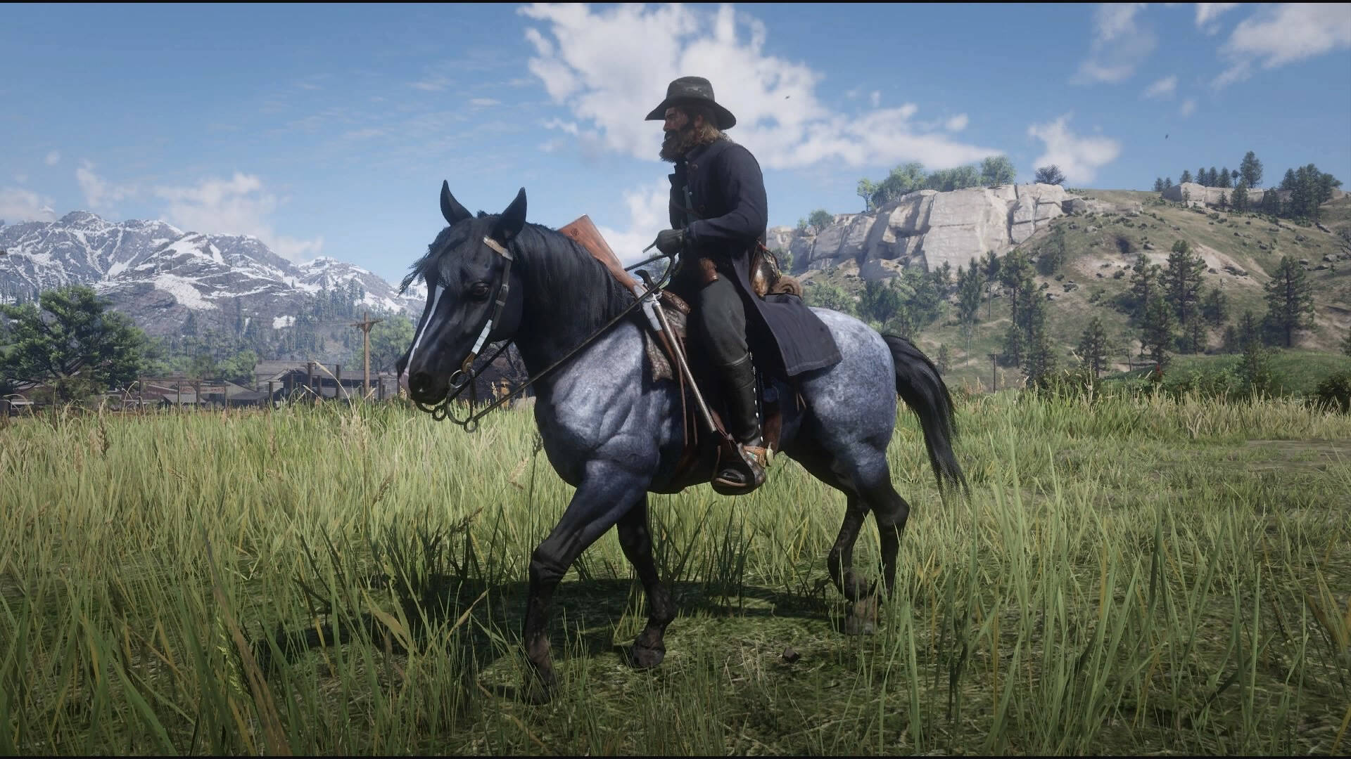 Red Dead Redemption 2 - Blue Roan Nokota