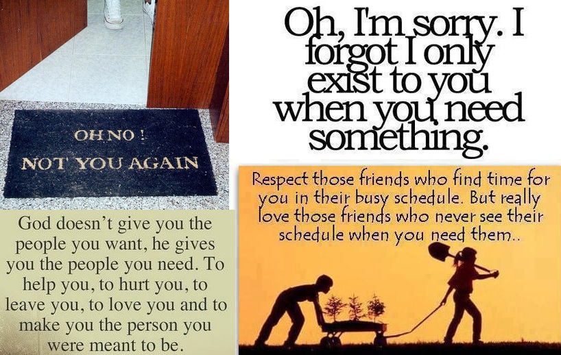 The Litter Box: Remember Not Only When You Need Something, Remember ...