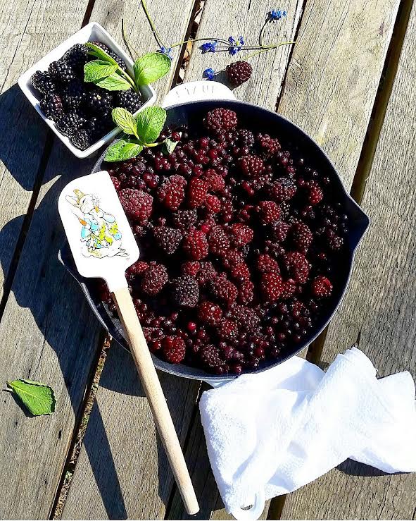 Blue & Blackberry Bramble!