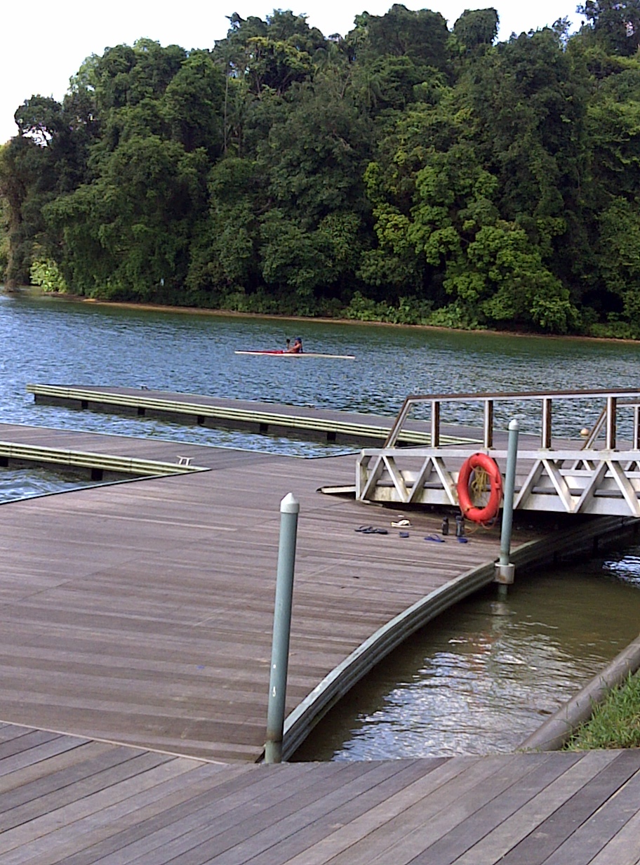 MacRitchie Reservoir