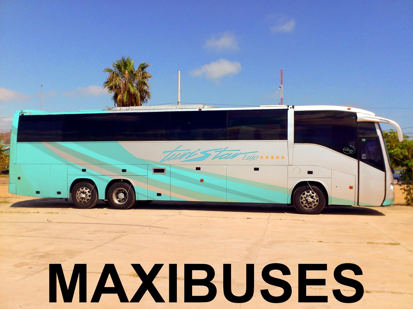 MAXIBUSES: TURISTAR LUJO