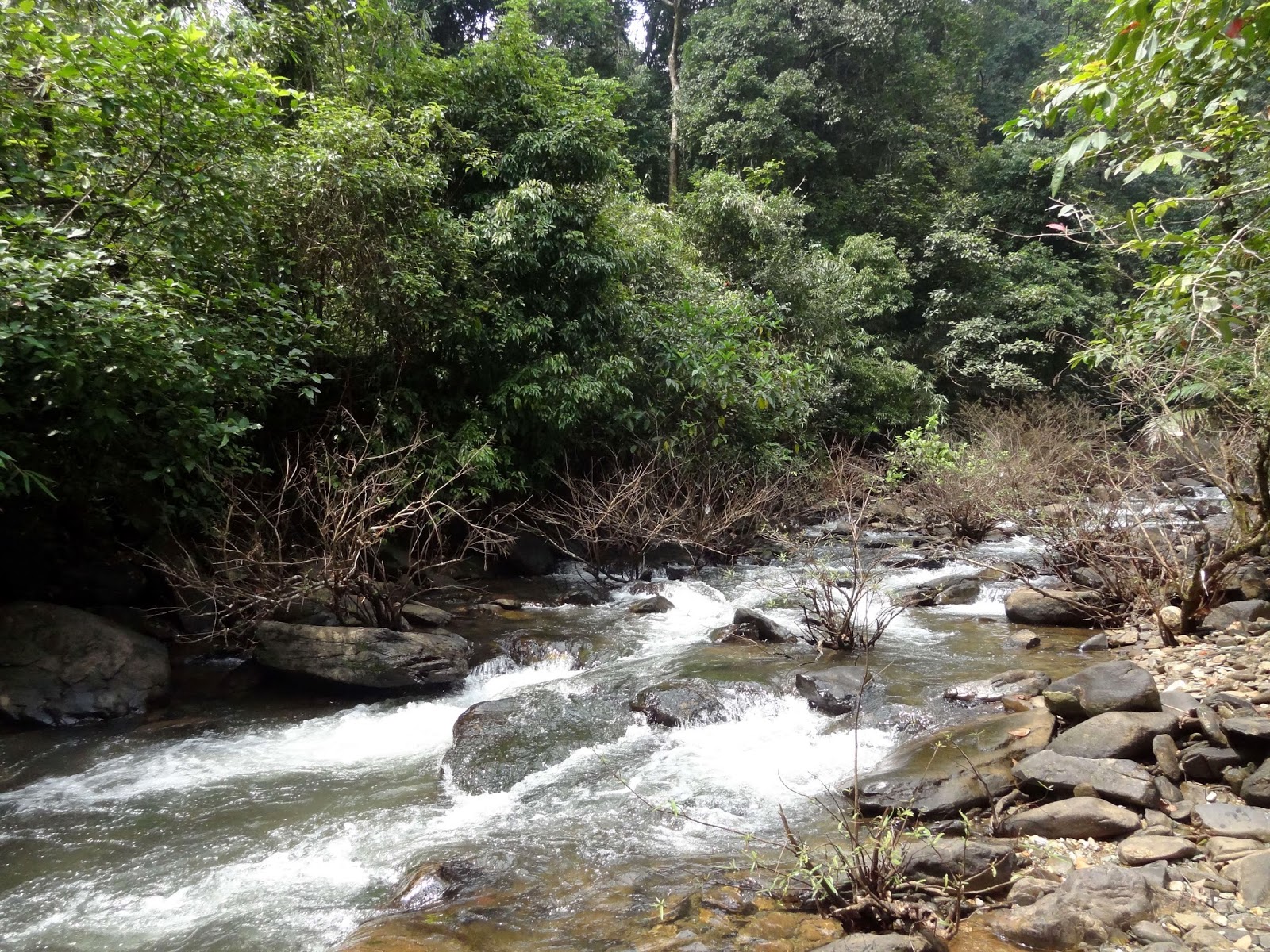 VISWANATH S: SEETHANADI-HEBRI-2013