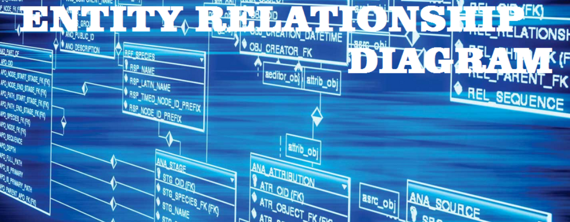 Resume 4 - Entity Relationship Diagram (ERD)