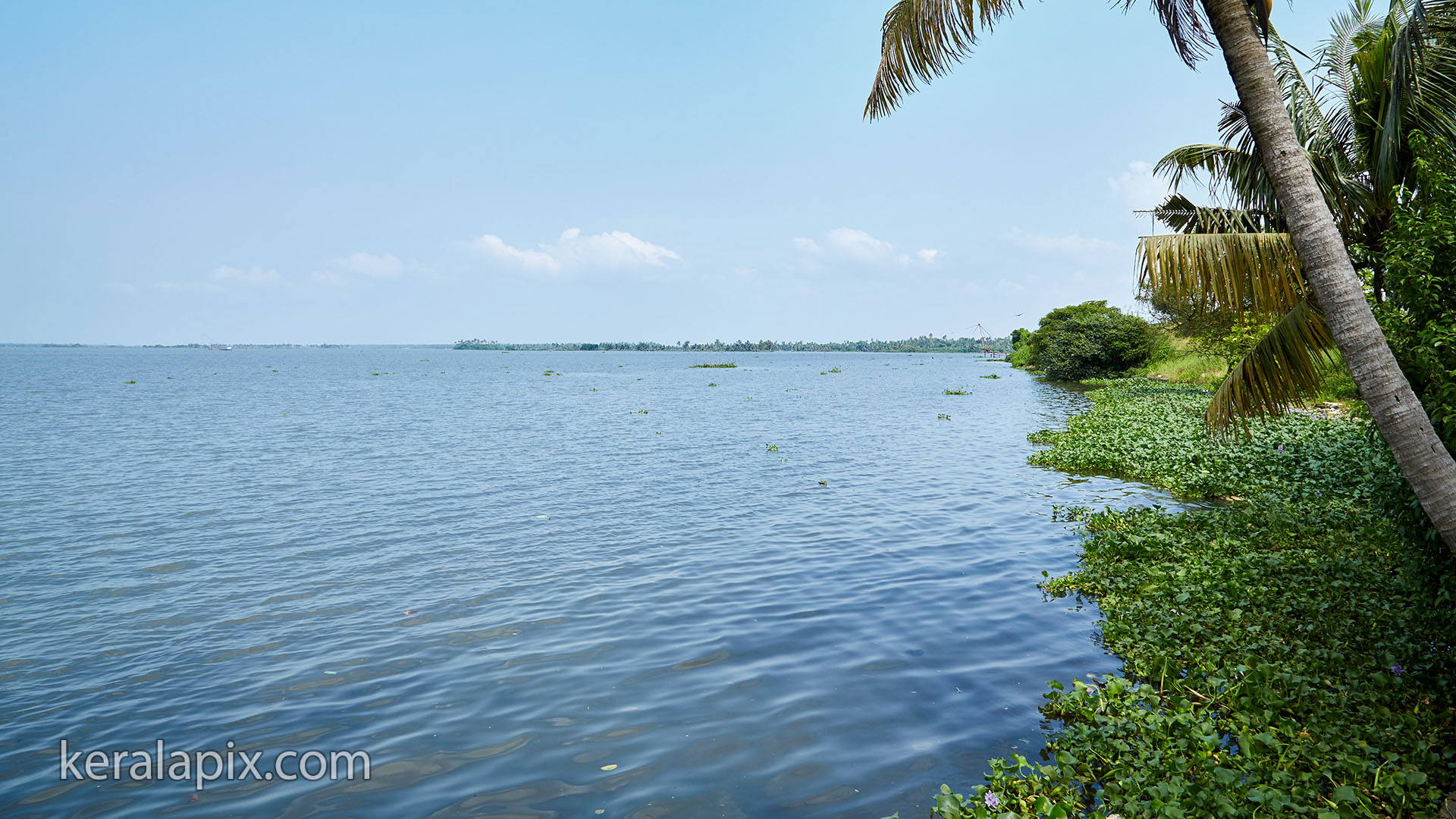 Keralapix.com: Your Ultimate Destination for Stunning Kerala Images and ...