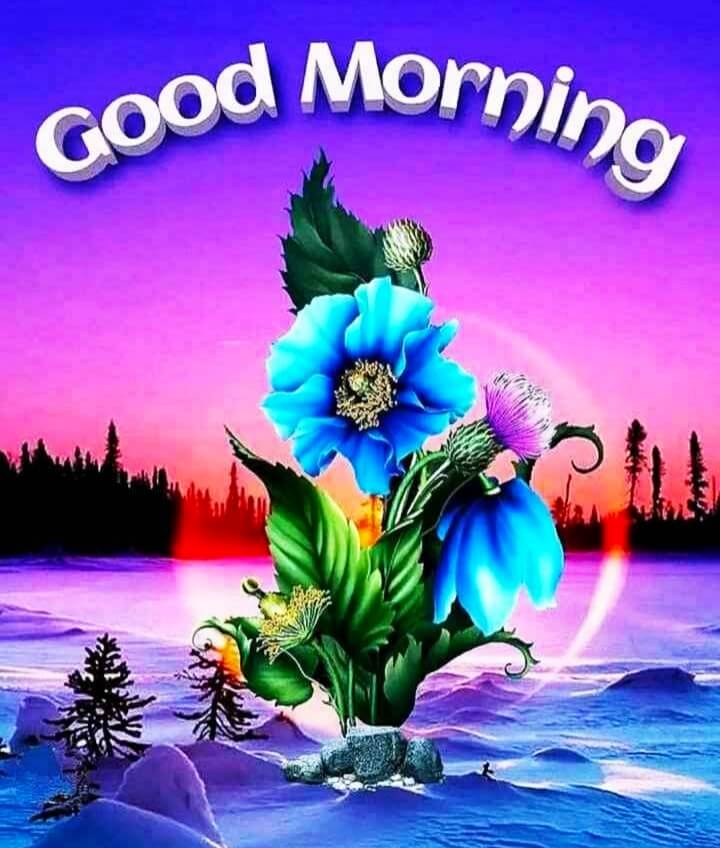 35+ Best Good Morning Images Free Download For Whatsapp HD Download ...