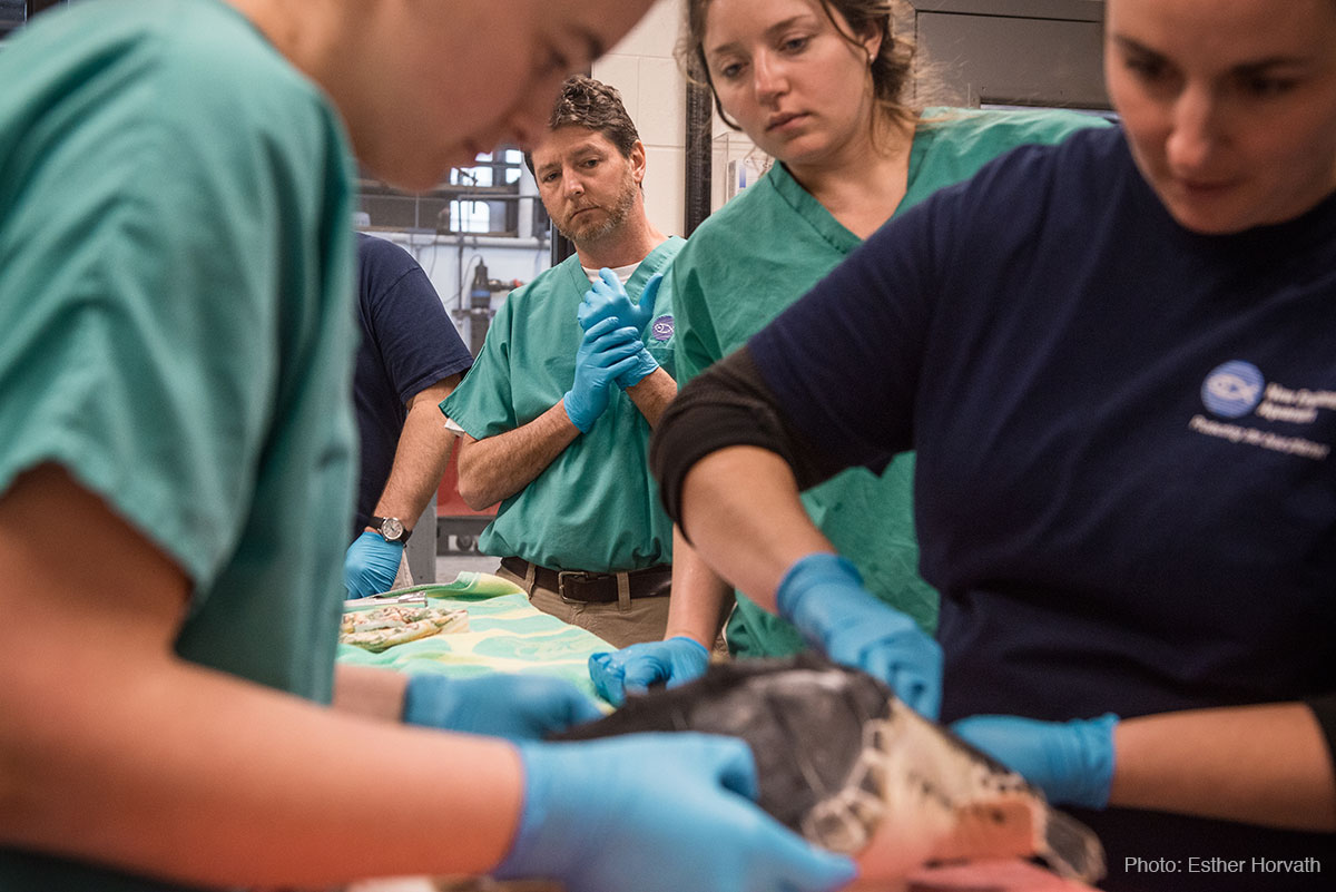 Aquarium News and Updates