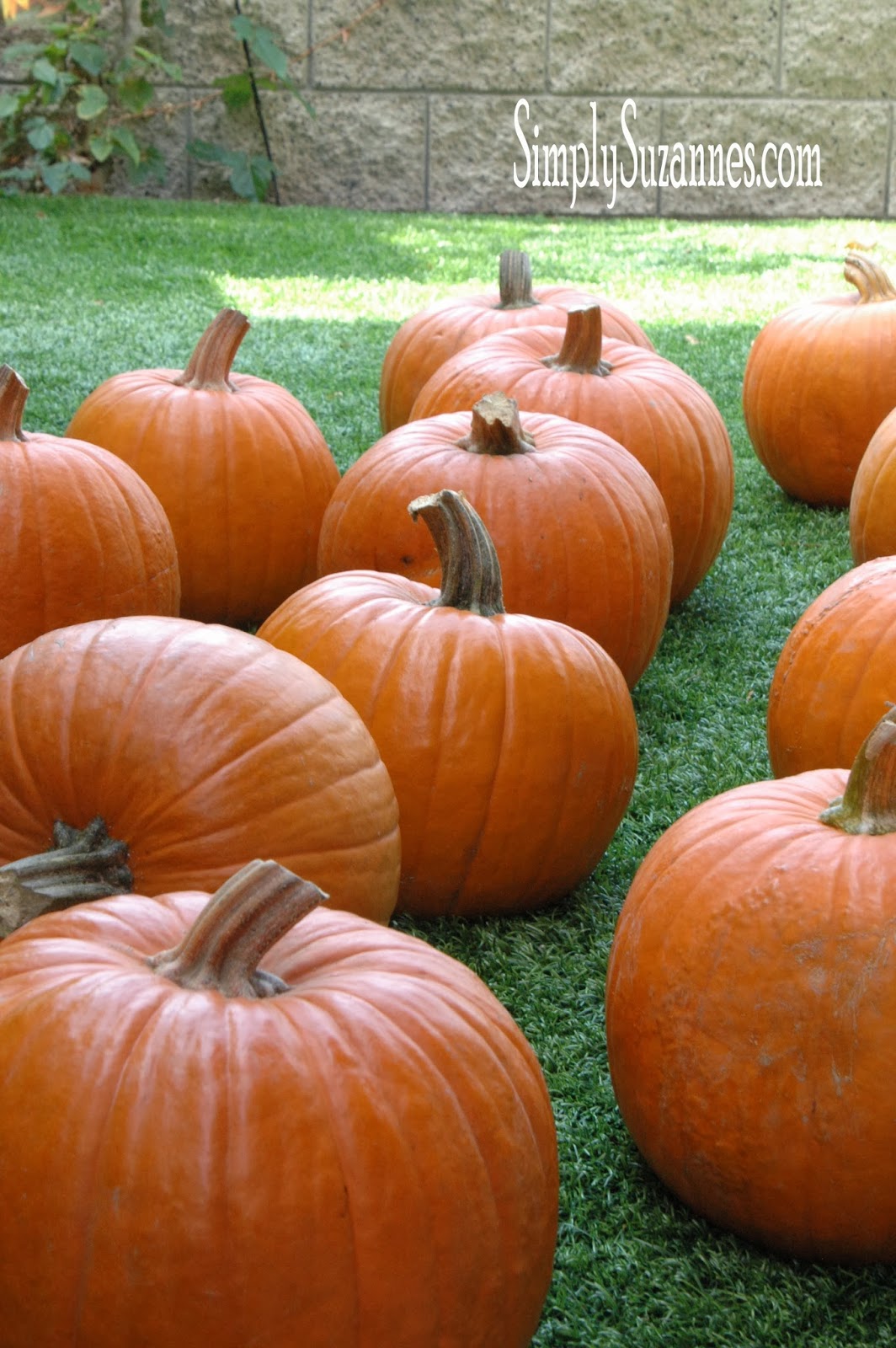 Simply Suzanne's AT HOME: fun & festive ideas for a pumpkin carving party