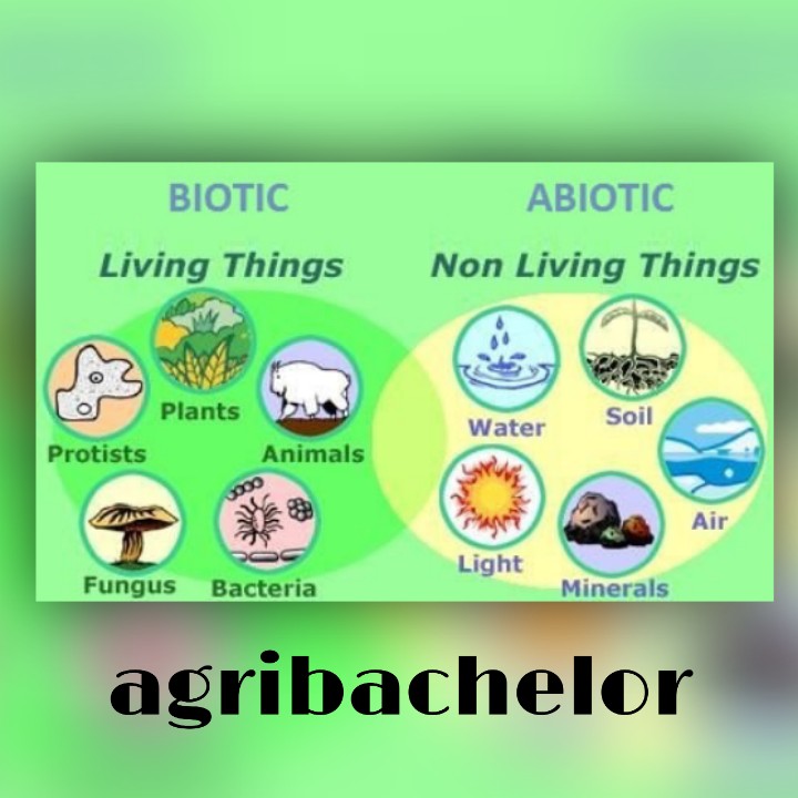 Agribachelor: what is Ecosystem and ecology differnce between ecosystem ...