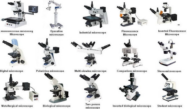 Learning_Bloggirl: Microscopy & Prokaryote