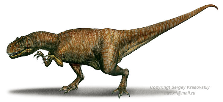 Los animales en la prehistoria: Animales prehistóricos con la letra A