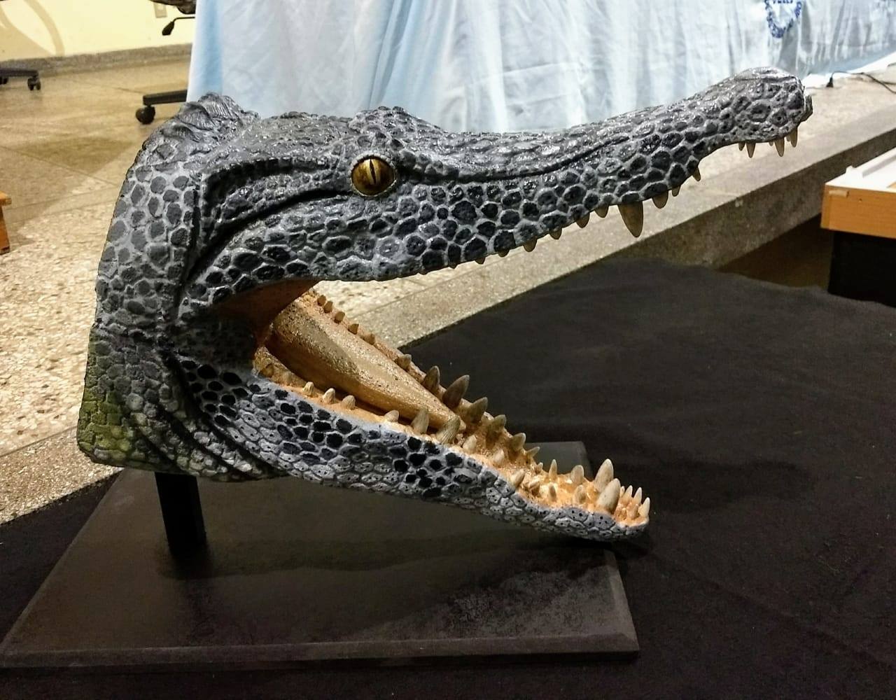 Species New to Science: [Paleontology • 2018] Roxochampsa paulistanus ...