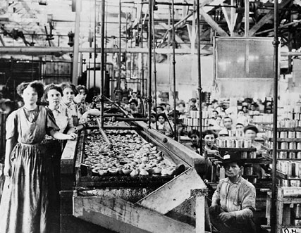 San Francisco, A History.: The Cannery.