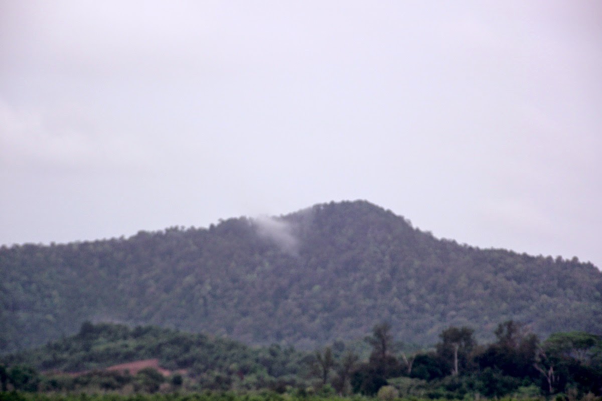 My-Album: Pulau Buluh Batam