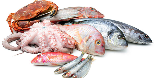 Pengolahan IX/1: Materi-1 JENIS DAN KARAKTERISTIK HASIL PERTERNAKAN DAN ...