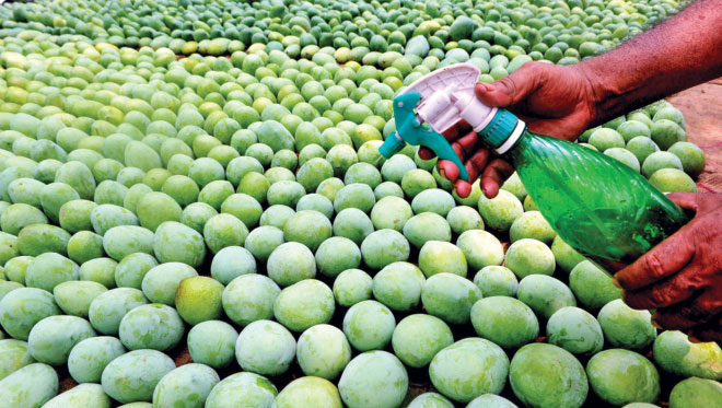 NYUMBANI: UGANDA: Formalin, chemical used to stop dead bodies from ...