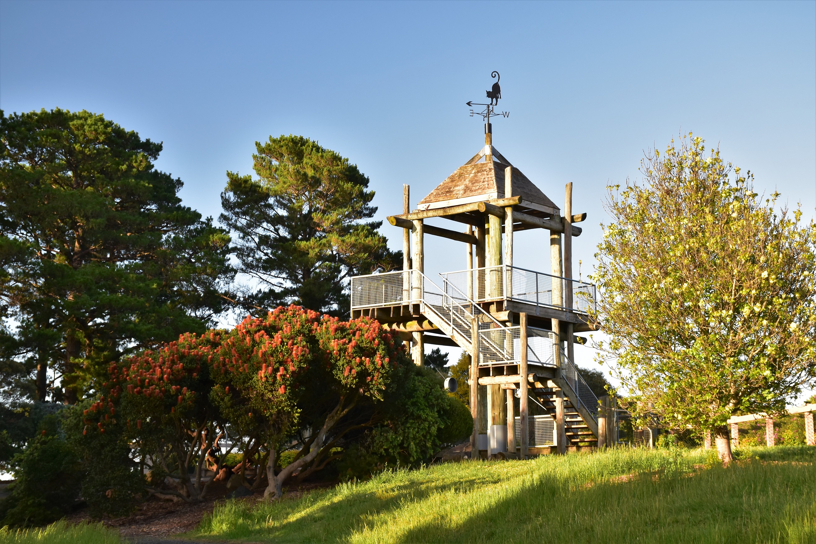 Goin' Feral One Day At A Time: Wilson Botanic Park Walk, Berwick ...