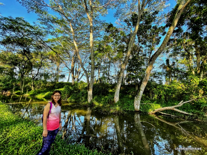 Cheekiemonkies: Singapore Parenting & Lifestyle Blog: [Easy & Gorgeous ...