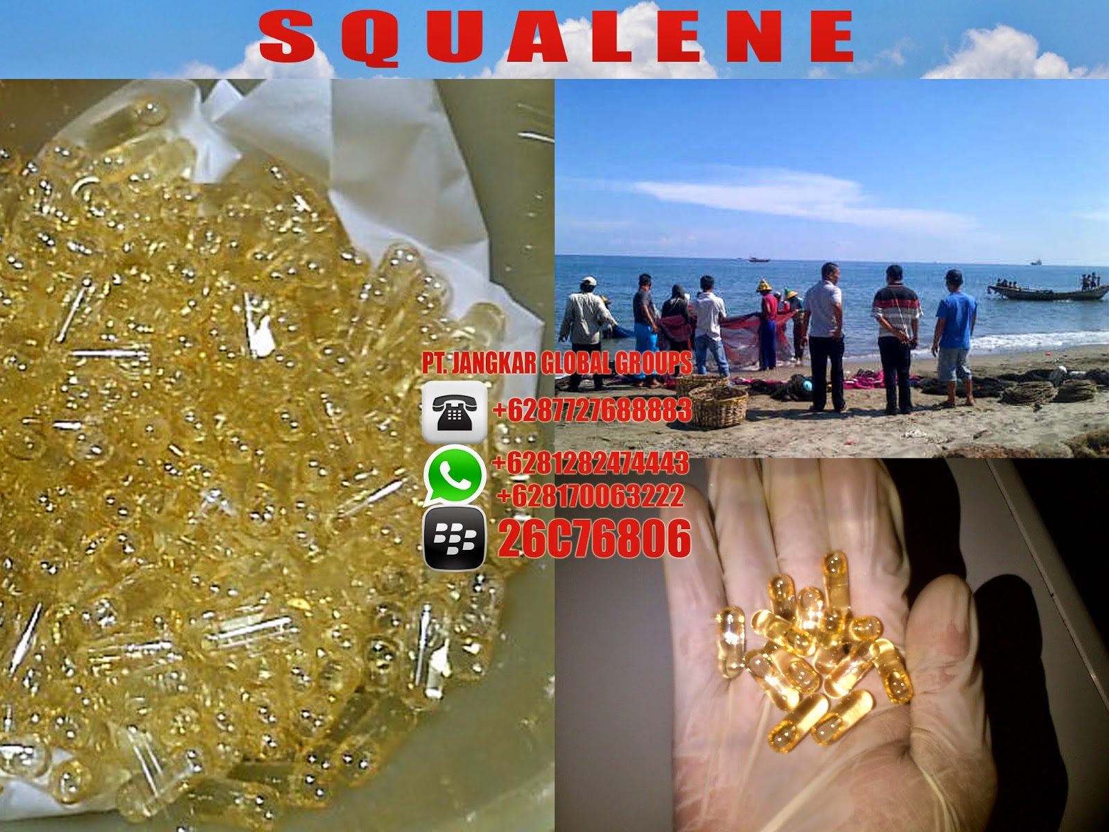Jangkar Groups: PABRIK MINYAK HATI IKAN HIU BOTOL SQUALENE