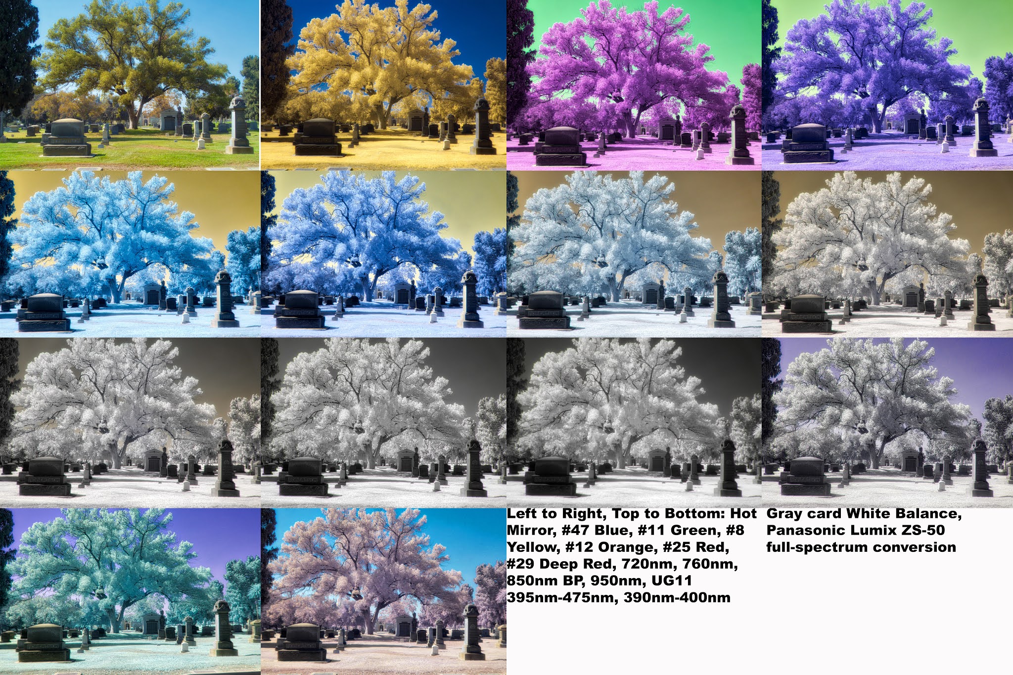 Digital Infrared Photography: Black & White vs Color Infrared.
