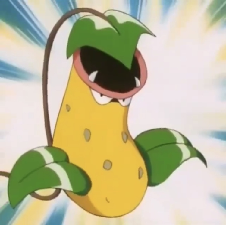 Where Pokemon Meets Anime: Best Grass Pokemon in the Franchise: The ...