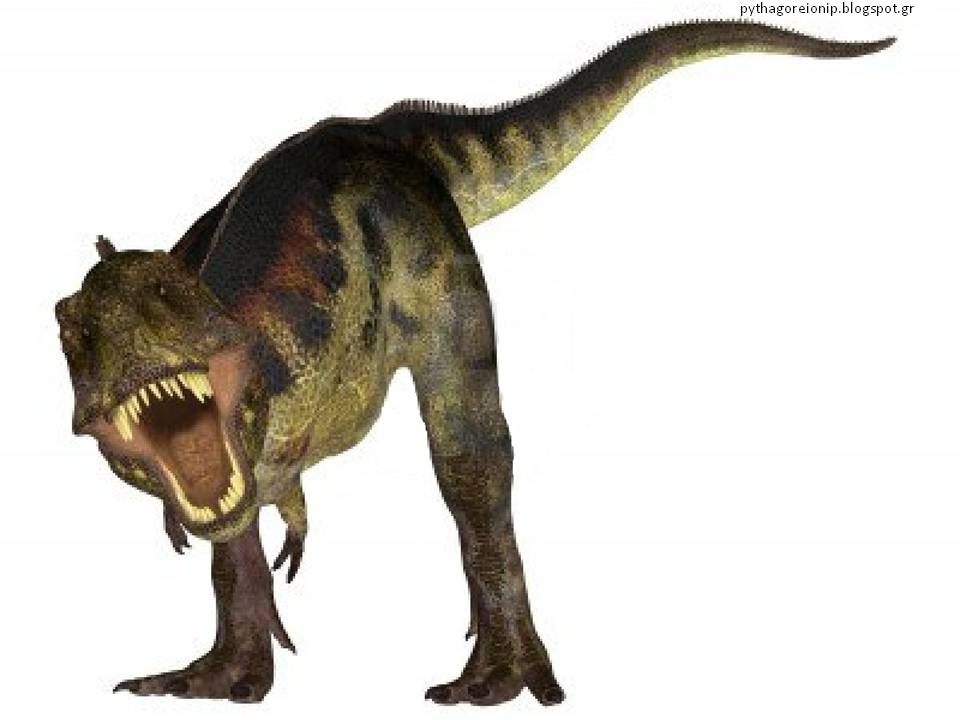 Πυθαγόρειο Νηπιαγωγείο: ΤΟ ΒΙΒΛΙΟ ΤΩΝ ΔΕΙΝΟΣΑΥΡΩΝ - ΔΕΙΝΟΣΑΥΡΟΣ ΓΙΑ ...